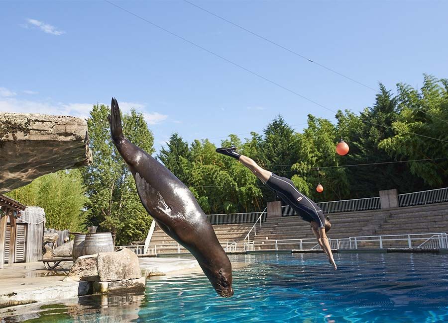Parc animalier et Parc d'attraction Le Pal, Auvergne Rhône Alpes ...